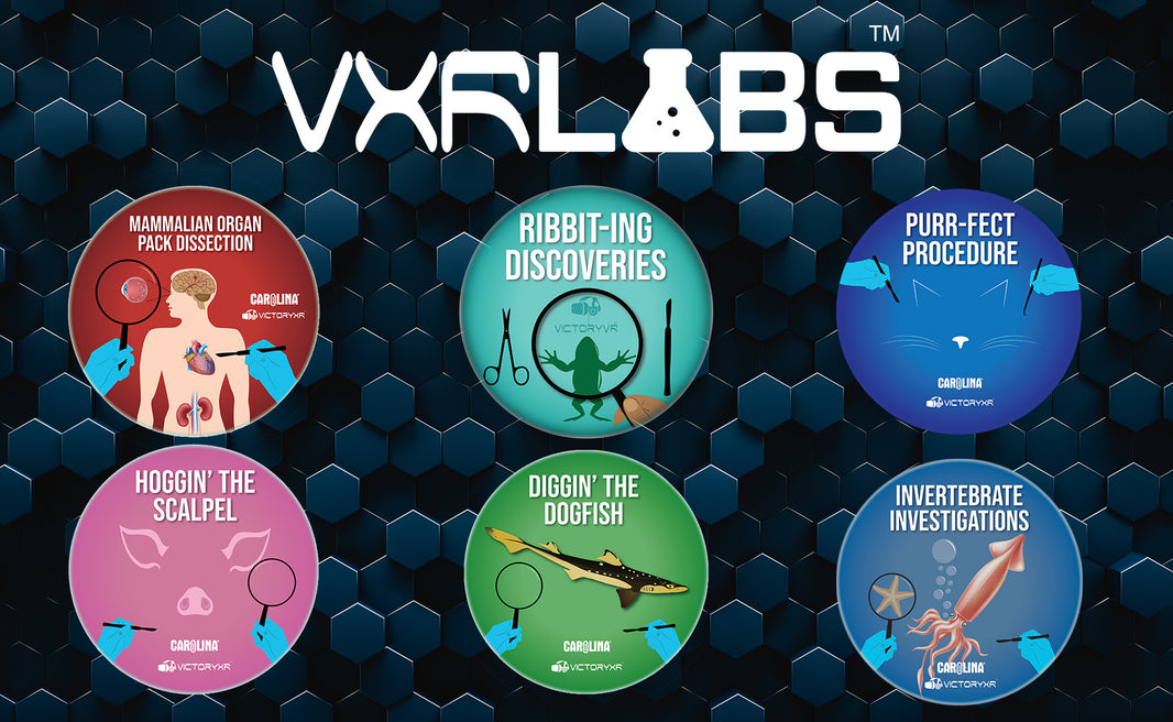 VictoryXR License with Quest Headset Bundles